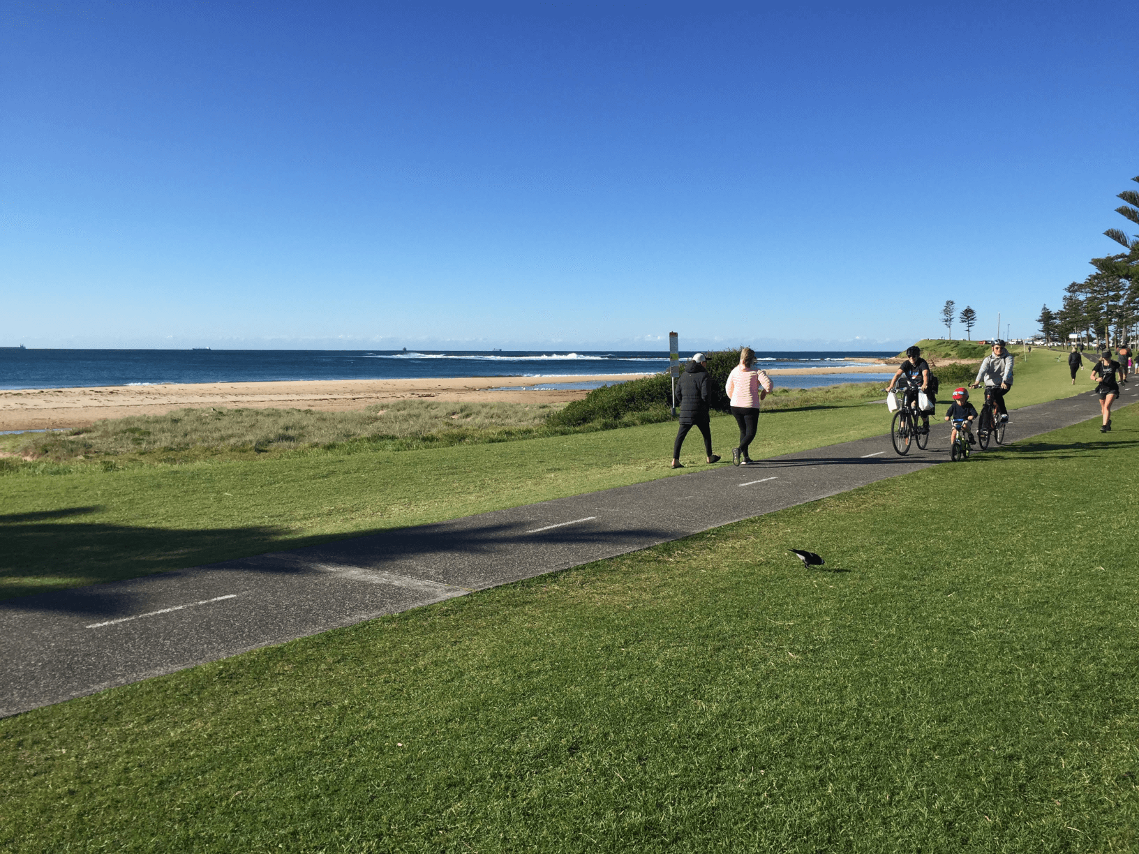 Briometrix – Mobility Mapping and Wheelchair Fitness